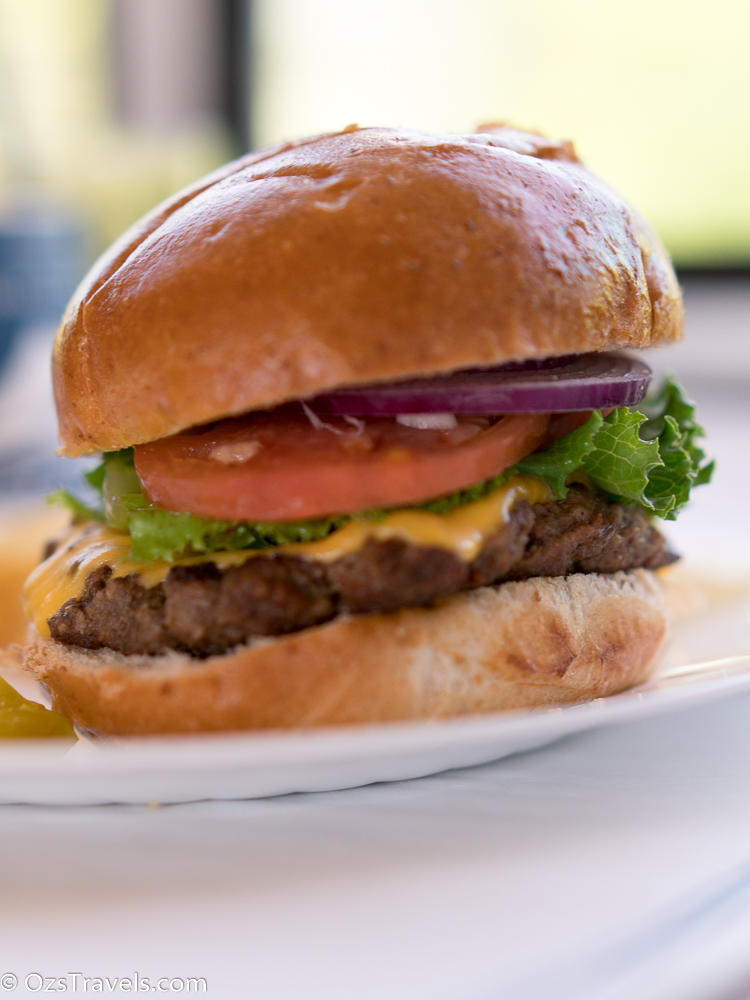 Amtrak Texas Eagle Dallas to Austin Texas - Oz's Travels